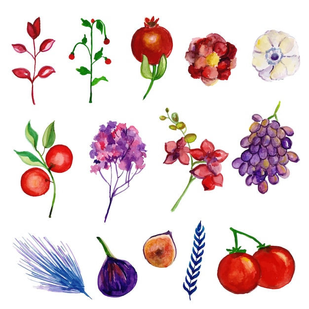 Premium Vector Beautiful Watercolor Floral Elements Collection