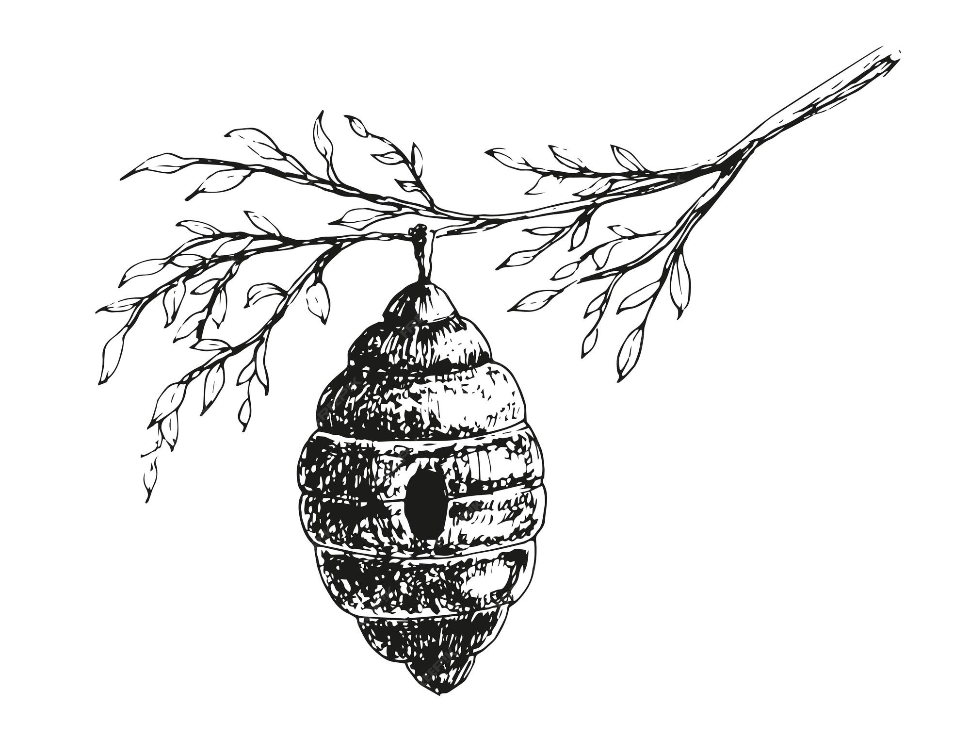 Bee Hive Clip Art Black And White