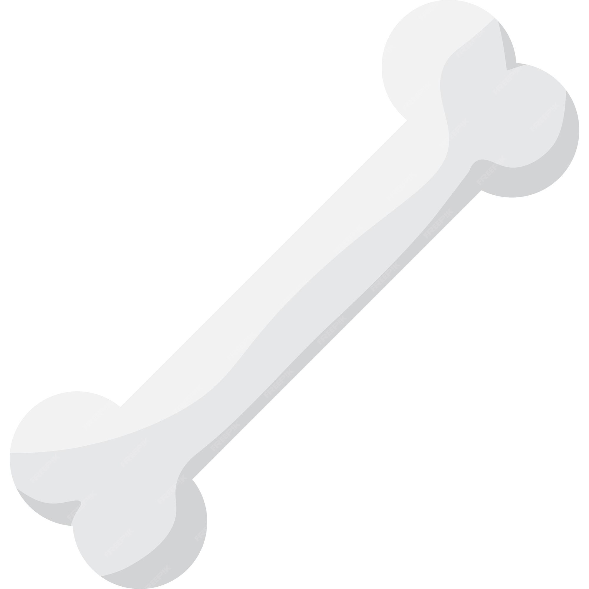 Premium Vector Big Bone