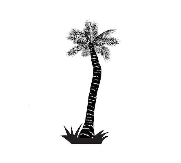 Premium Vector | Black single palm tree silhouette icon isolated Premium Vector | Black single palm tree silhouette icon isolated