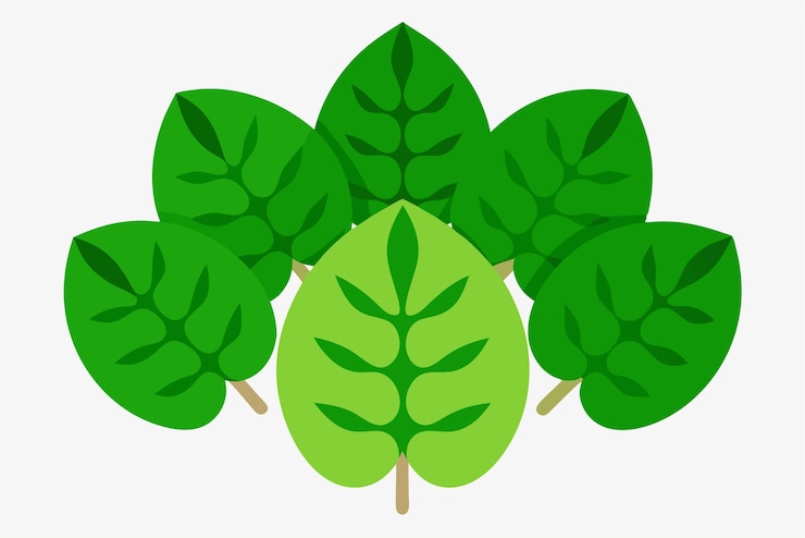 Breadfruit Leaf Color Art Elegant Breadfruit Leaf Artistic Design ... Breadfruit Leaf Color Art Elegant Breadfruit Leaf Artistic Design ...