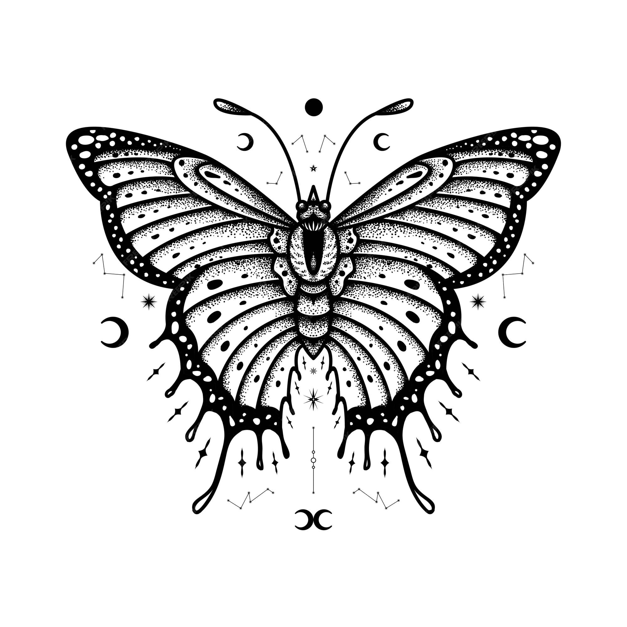 Premium Vector Butterfly Vector Illustration