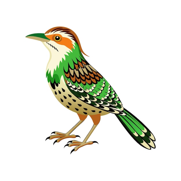 Cactus Wren bird Vector | Premium AI-generated vector Cactus Wren bird Vector | Premium AI-generated vector