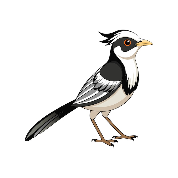 Cactus Wren bird Vector | Premium AI-generated vector Cactus Wren bird Vector | Premium AI-generated vector