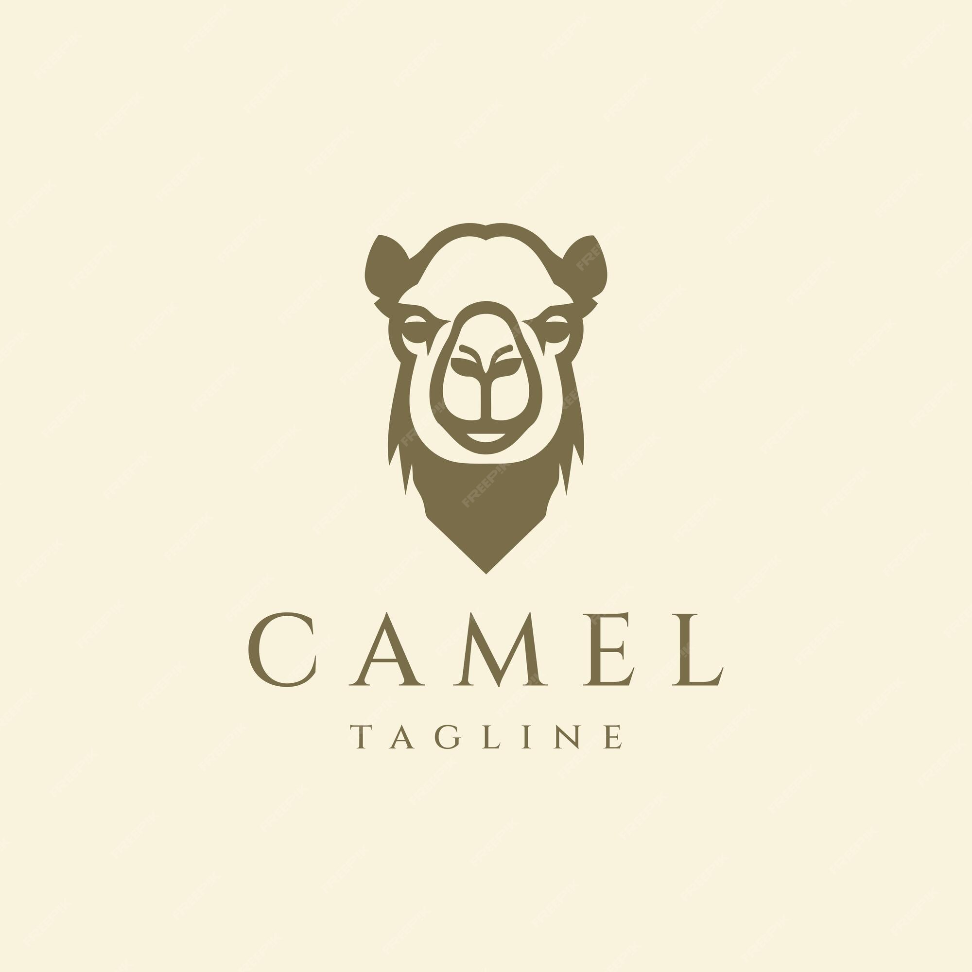 Premium Vector | Camel logo design vector illustration Premium Vector | Camel logo design vector illustration