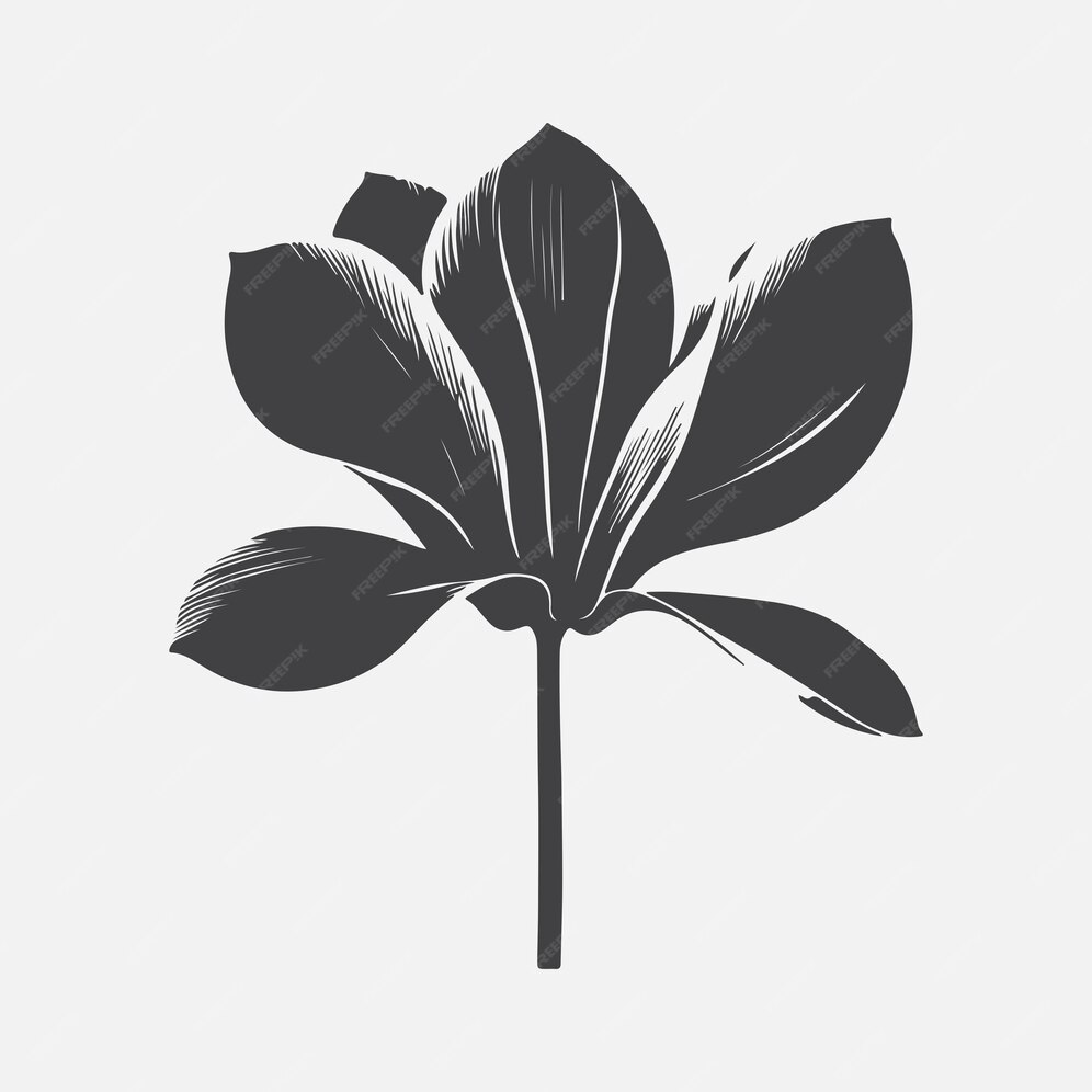 Premium Vector | Captivating Cyclamen Flower Silhouette Natures ... Premium Vector | Captivating Cyclamen Flower Silhouette Natures ...