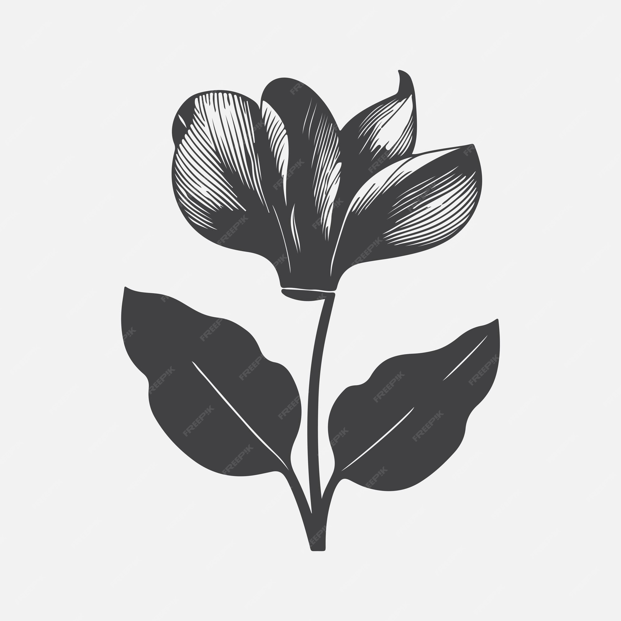Premium Vector | Captivating Cyclamen Flower Silhouette Natures ... Premium Vector | Captivating Cyclamen Flower Silhouette Natures ...