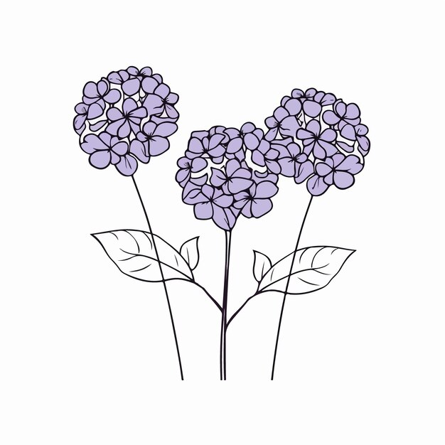 Premium Vector | Captivating hydrangea artwork in a modern vector style Premium Vector | Captivating hydrangea artwork in a modern vector style