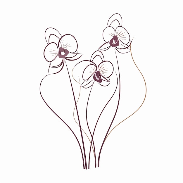 Premium Vector | Captivating orchid artwork in a modern vector style Premium Vector | Captivating orchid artwork in a modern vector style
