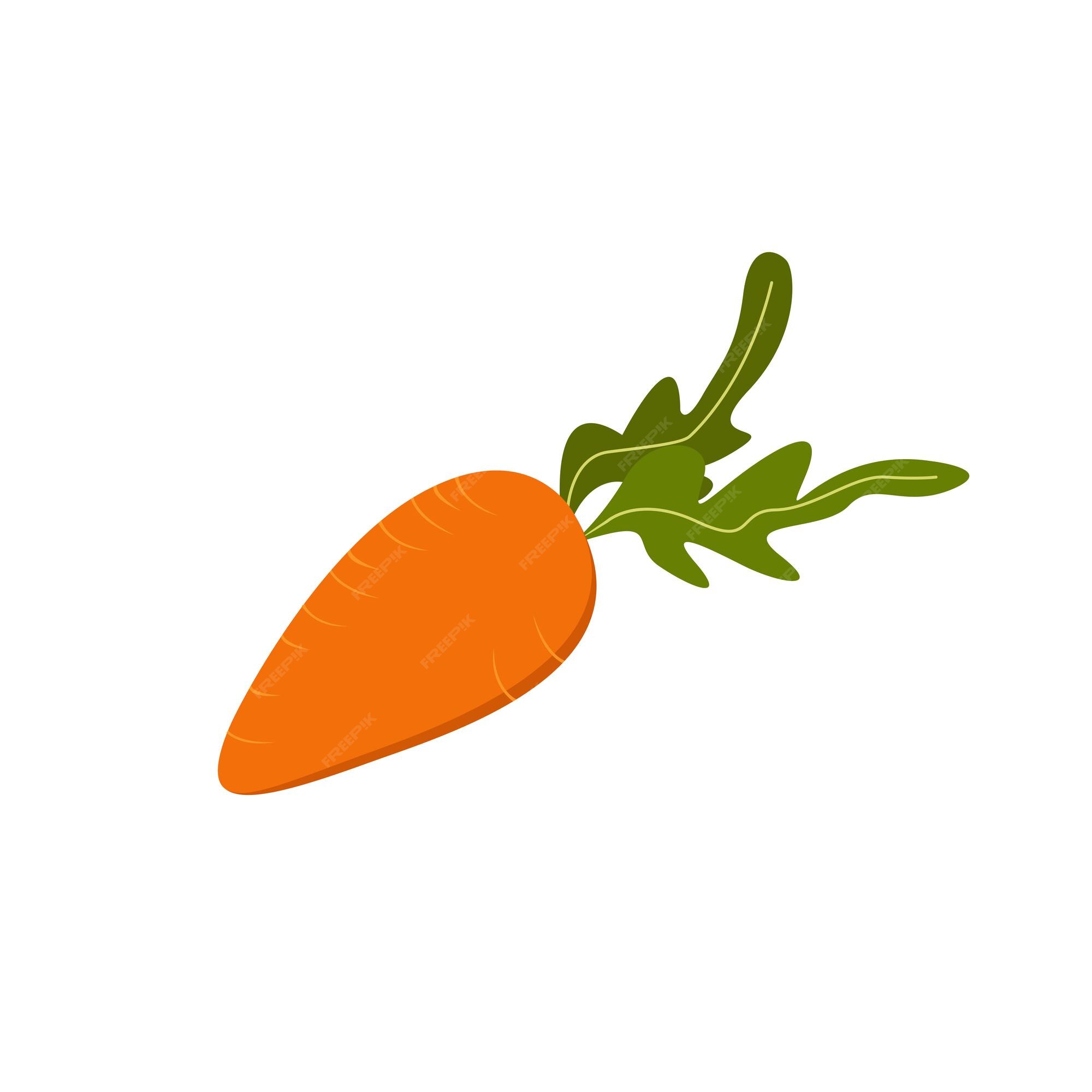 Premium Vector | Cartoon carrot vector illustration design Premium Vector | Cartoon carrot vector illustration design