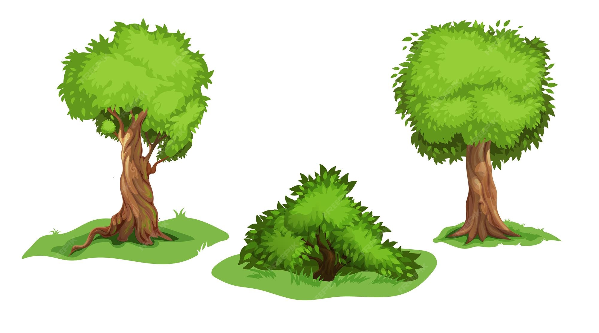 Premium Vector Cartoon Trees And Bush Set Summer And Spring Green Foliage Forest Elements