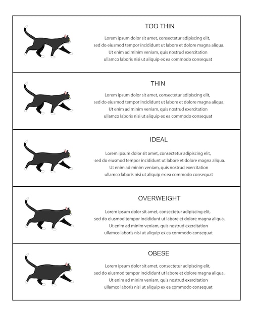 Premium Vector Cat Weight Chart Infographic Table Kitties Profiles With Normal And Abnormal