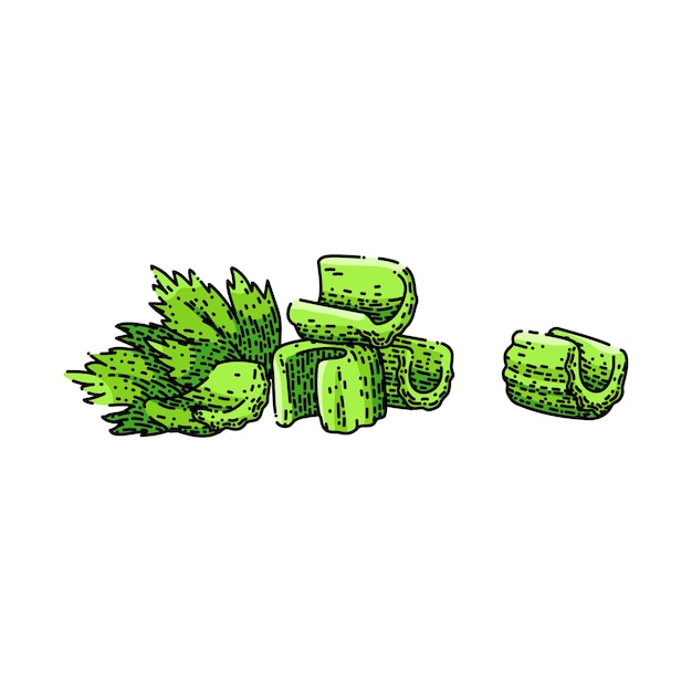 Premium Vector | Celery food sketch hand drawn vector Premium Vector | Celery food sketch hand drawn vector