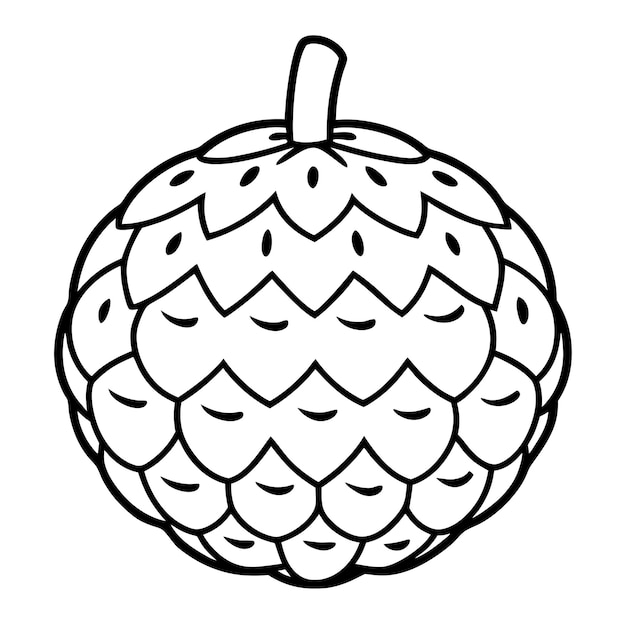 Cherimoya fruit outline coloring page design | Premium AI-generated vector Cherimoya fruit outline coloring page design | Premium AI-generated vector