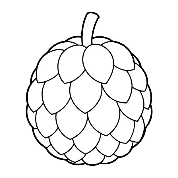 Cherimoya fruit outline coloring page design | Premium AI-generated vector Cherimoya fruit outline coloring page design | Premium AI-generated vector