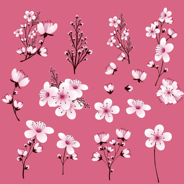 Premium Vector | Cherry blossom vector Premium Vector | Cherry blossom vector