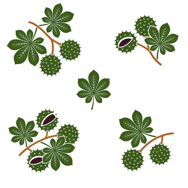 Premium Vector | Chestnut set collection icon chestnut vector Premium Vector | Chestnut set collection icon chestnut vector