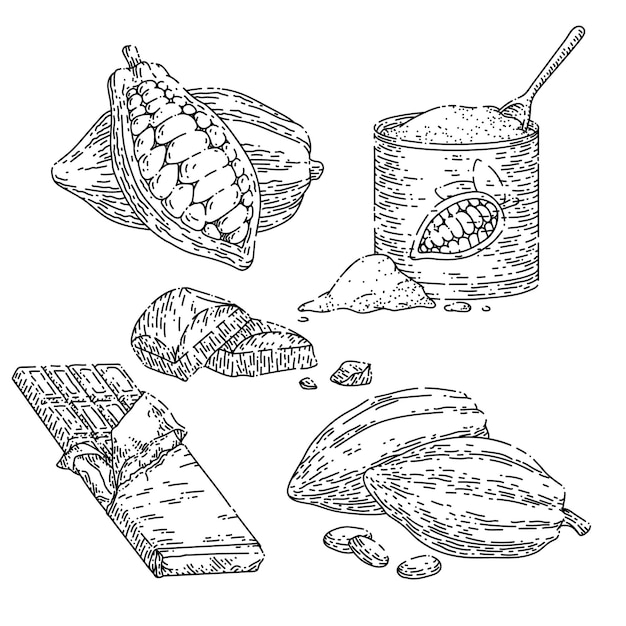 Premium Vector | Chocolate cocoa set sketch hand drawn vector Premium Vector | Chocolate cocoa set sketch hand drawn vector