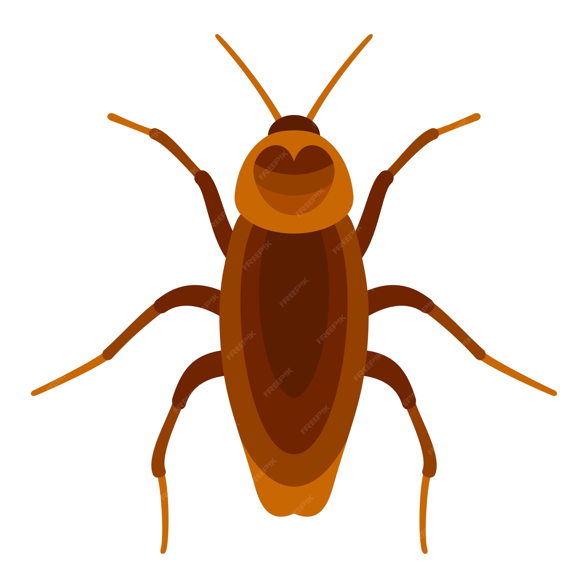 Premium Vector Cockroach Insect On White Background Flat Style Vector Illustration