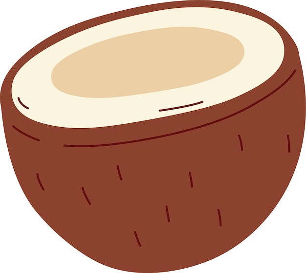 Premium Vector | Coconut Fruit Half Premium Vector | Coconut Fruit Half