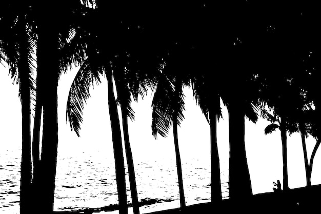 Premium Vector | Coconut palm tree silhouette vector illustration Premium Vector | Coconut palm tree silhouette vector illustration