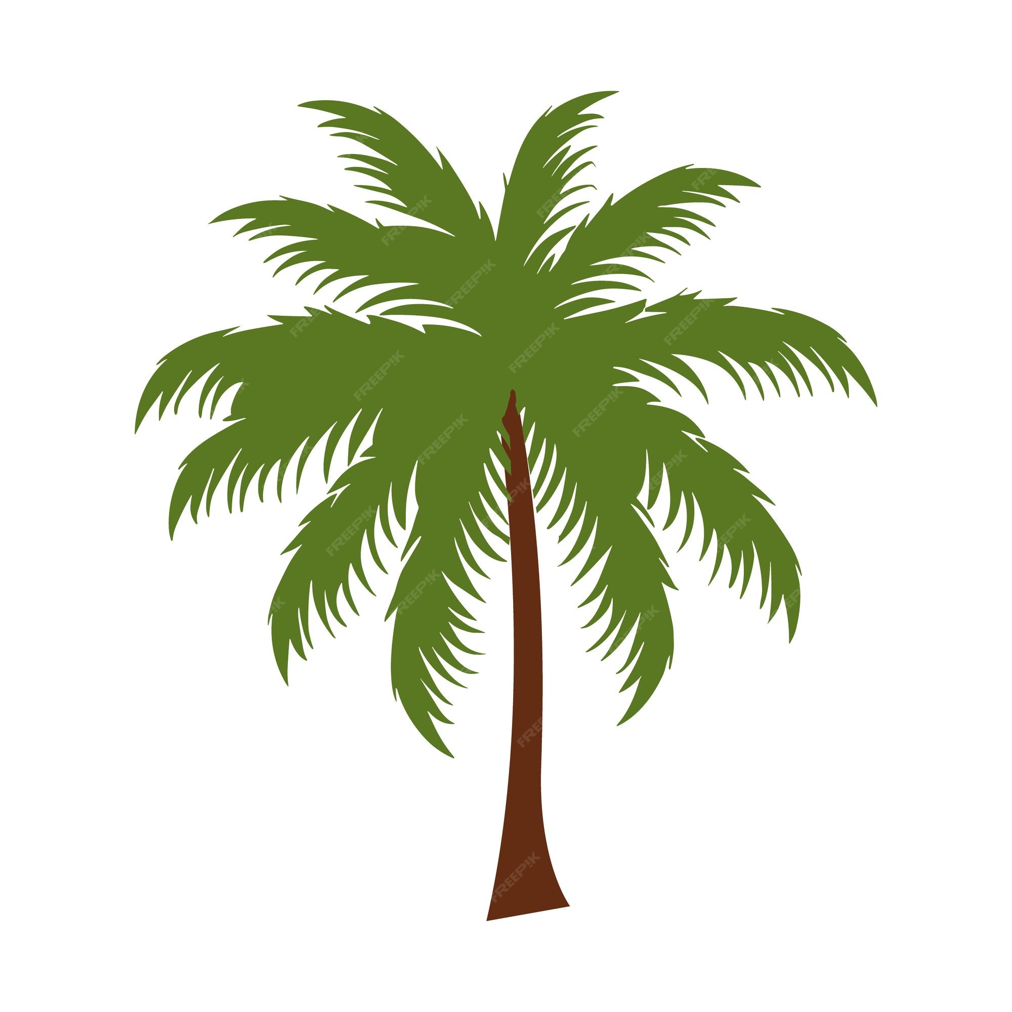 Premium Vector | Coconut tree vector Premium Vector | Coconut tree vector