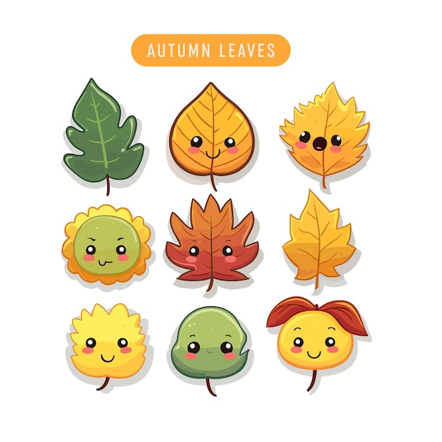 Premium Vector Collection Beautiful Colorful Autumn Leaves Isolated