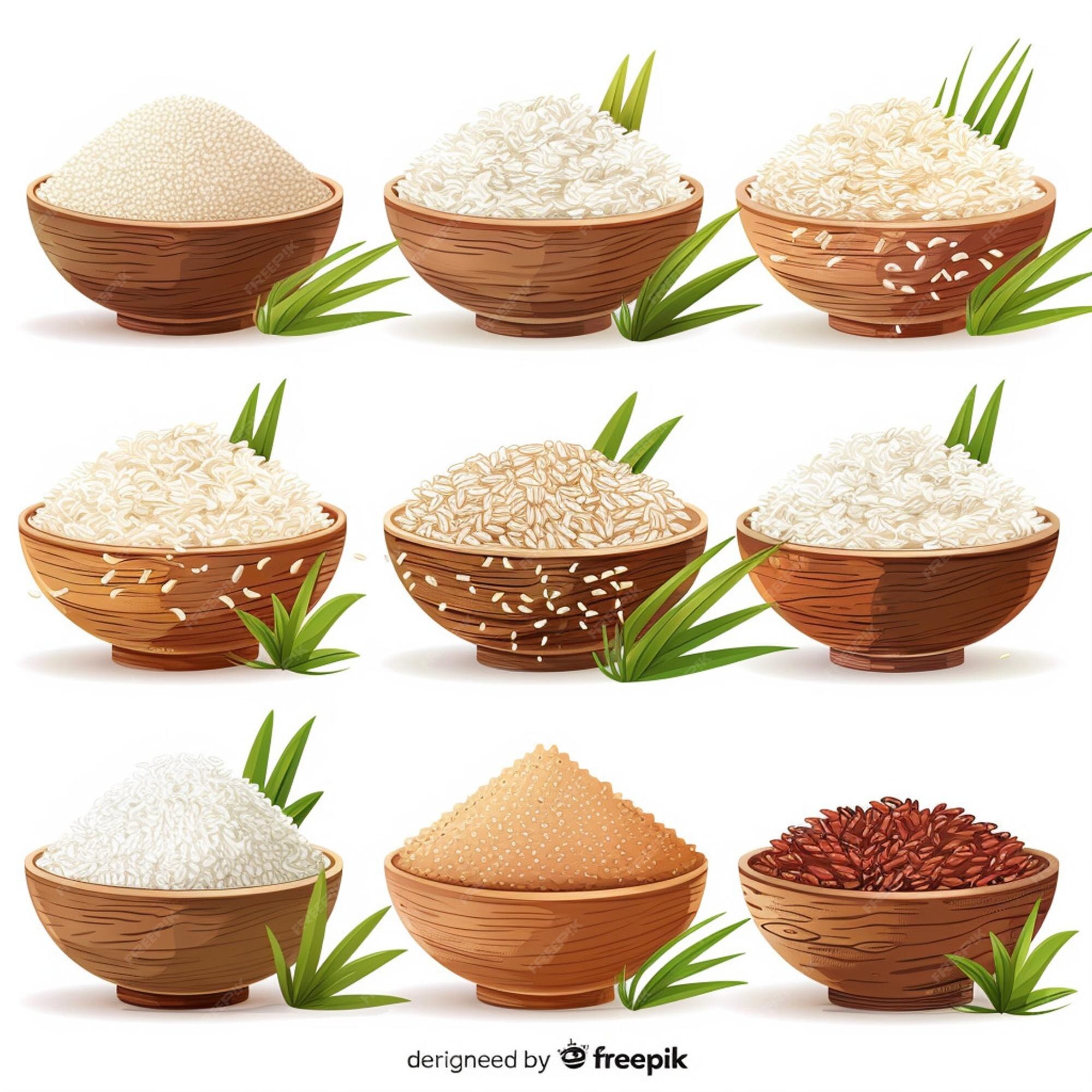 Premium Vector | A collection of different types of rice and rice Premium Vector | A collection of different types of rice and rice