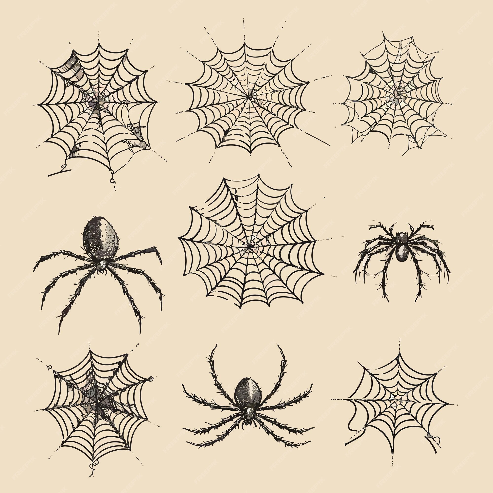 A collection of spiders and spiders that are all over the place ... A collection of spiders and spiders that are all over the place ...