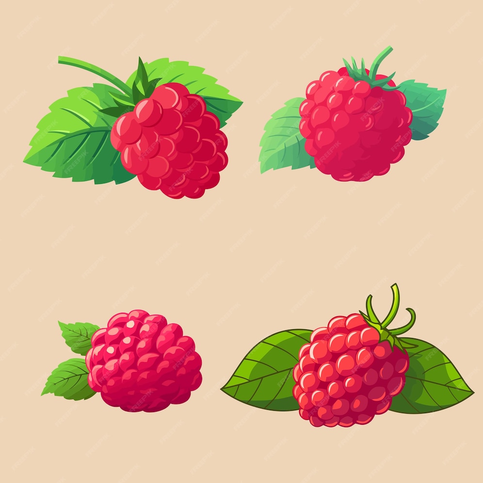 Premium Vector | A collection of vector raspberries Premium Vector | A collection of vector raspberries