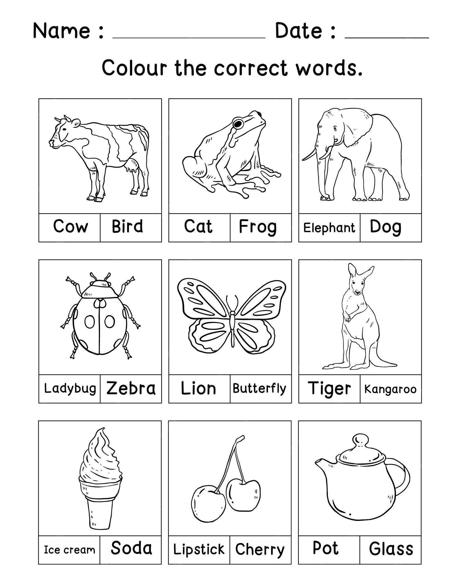 Premium Vector | Color the worksheet and choose the correct answer Premium Vector | Color the worksheet and choose the correct answer