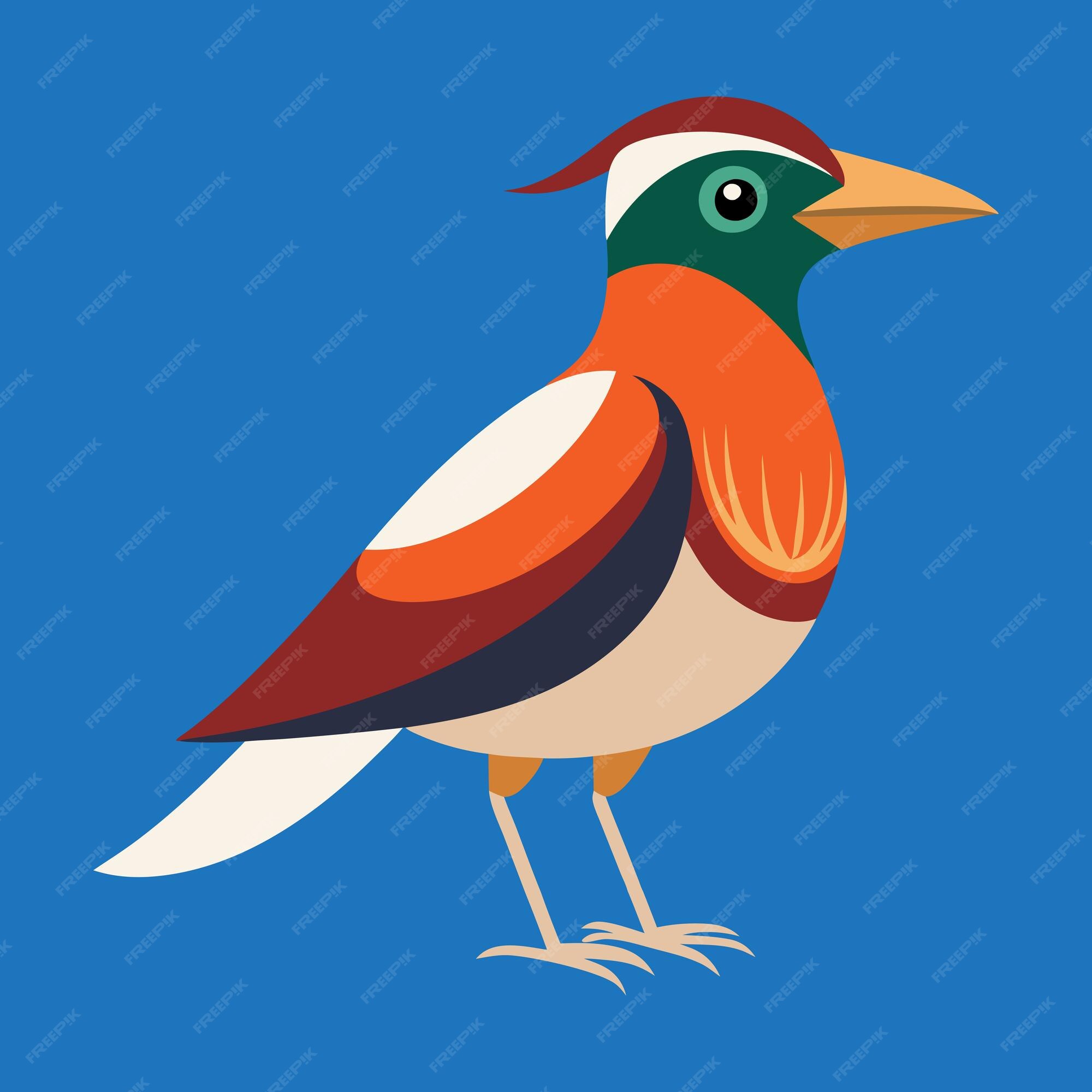 Premium Vector Colorful Bird Vector Art Illustration