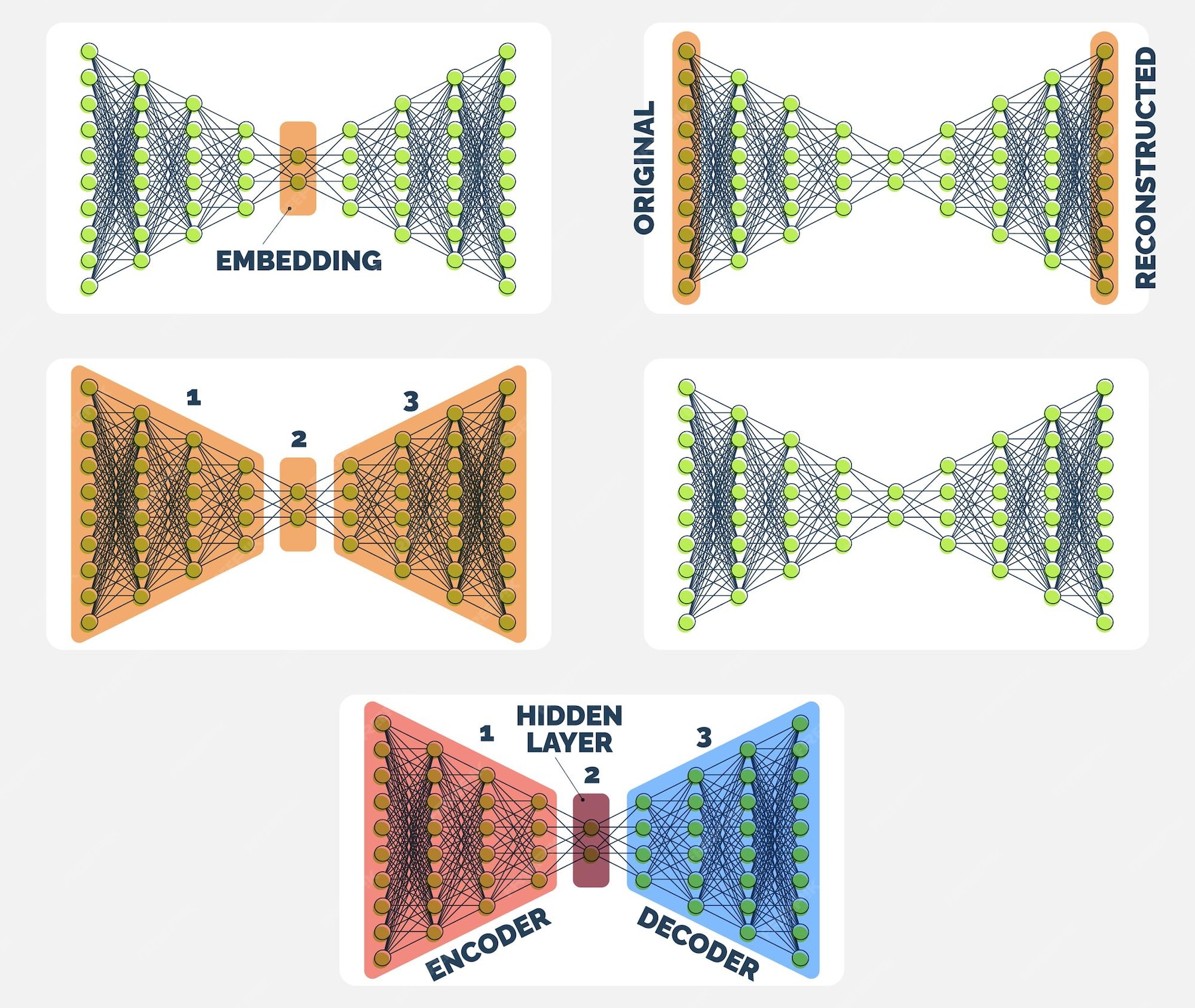 Premium Vector | Comprehensive Autoencoder Neural Network Guide ...