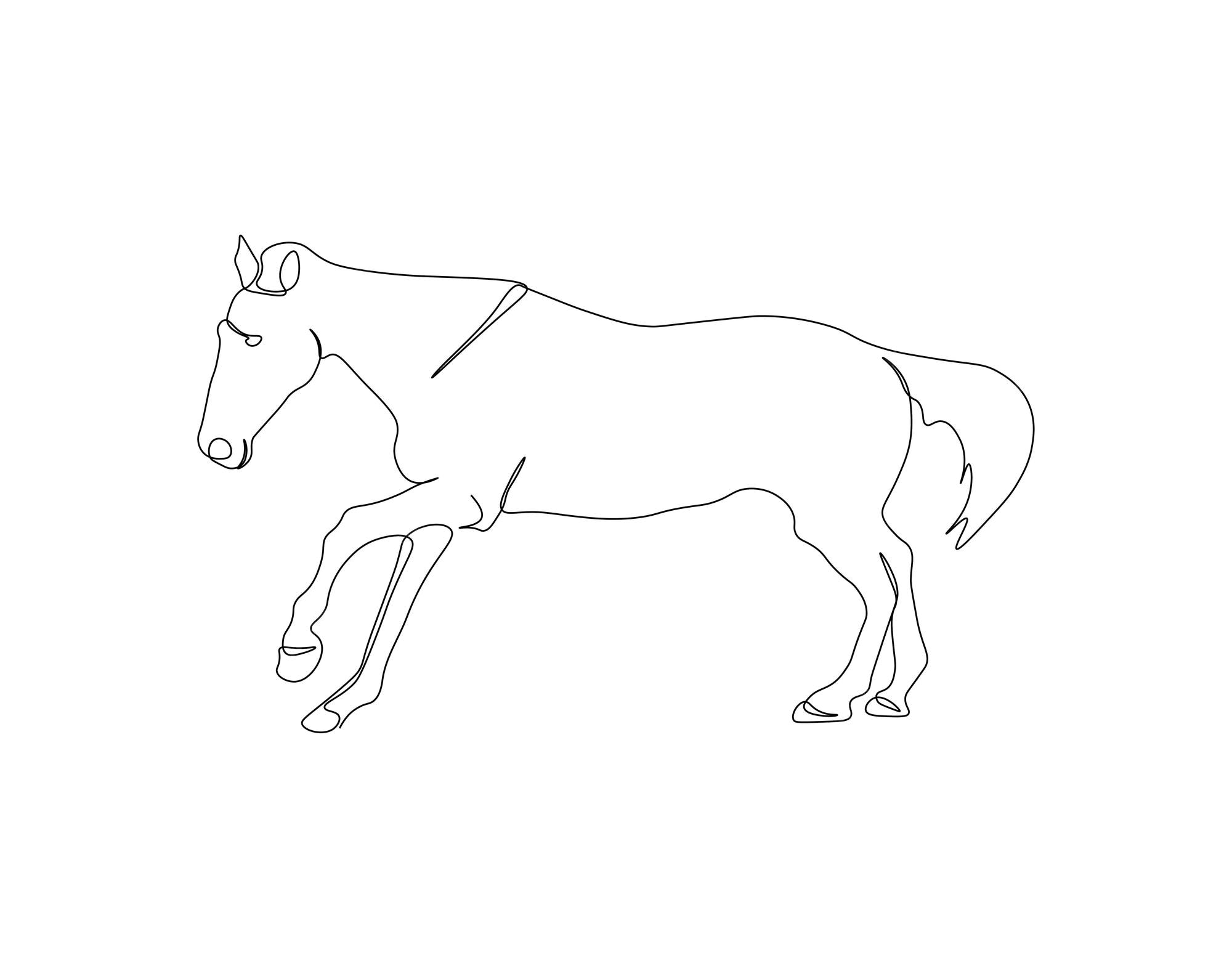 Premium Vector | Continuous line drawing of horse one line of dashing ... Premium Vector | Continuous line drawing of horse one line of dashing ...