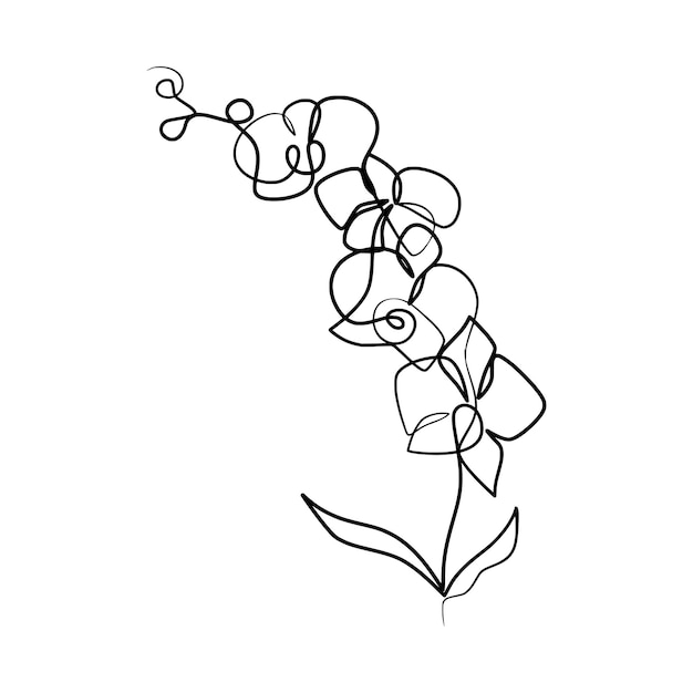 Premium Vector Continuous One Line Art Drawing Of Beauty Orchid Flower