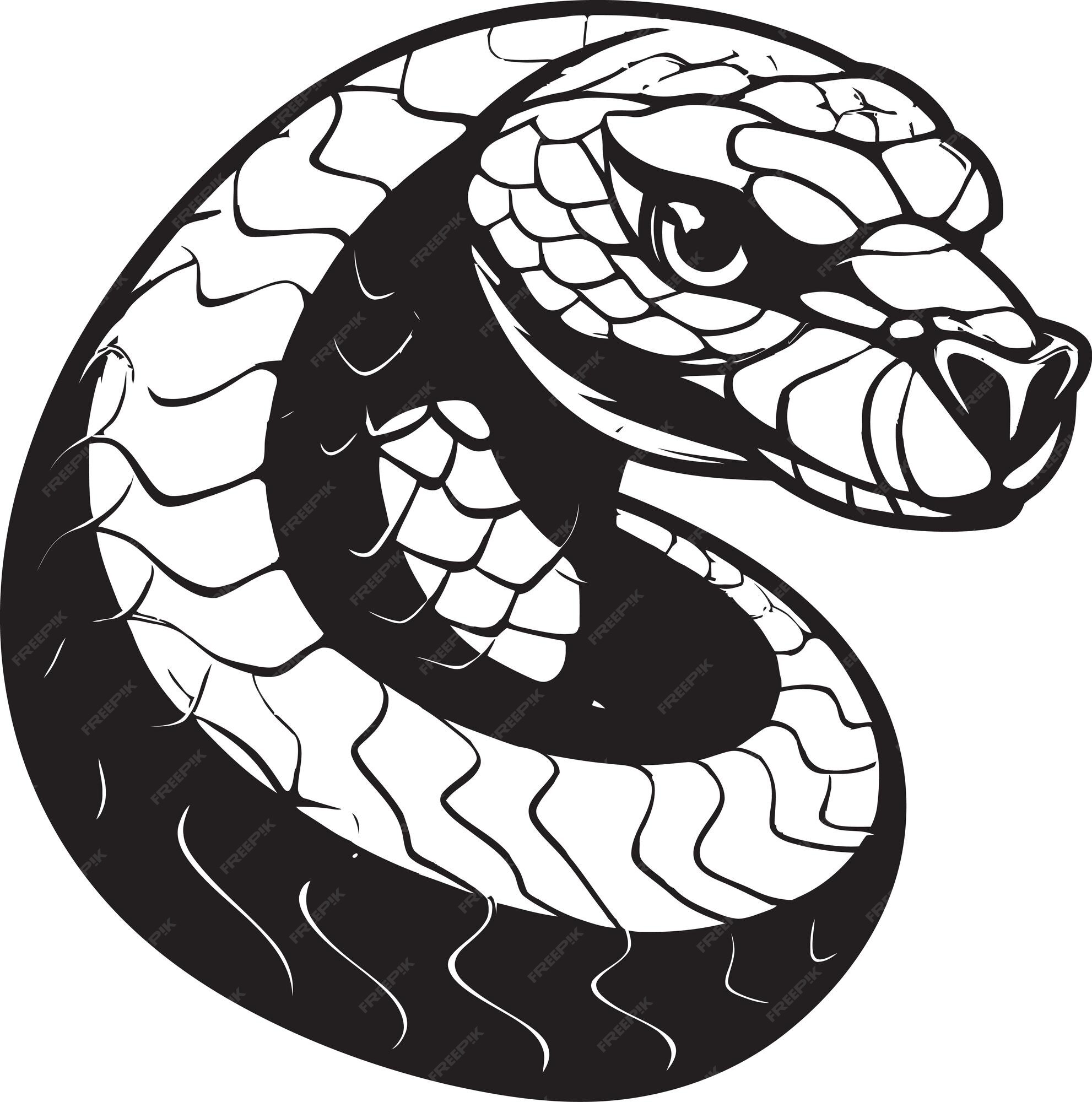 Premium Vector | Creating Vector Art from Scratch with Python Crafting ...