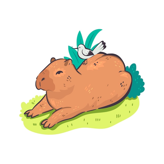 Premium Vector | Cute capybara isolated on white background Vector graphics Premium Vector | Cute capybara isolated on white background Vector graphics