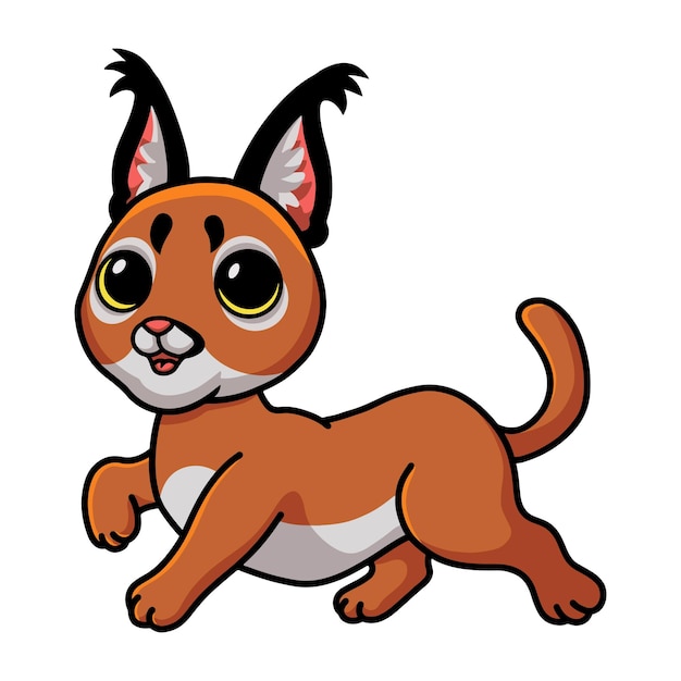 Premium Vector | Cute caracal cat cartoon walking Premium Vector | Cute caracal cat cartoon walking