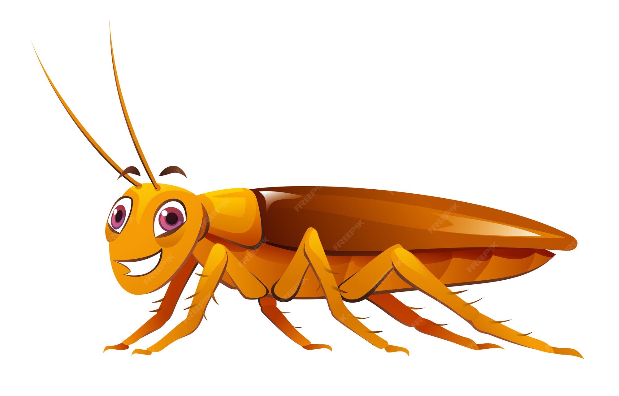 Cute Cockroach Clipart