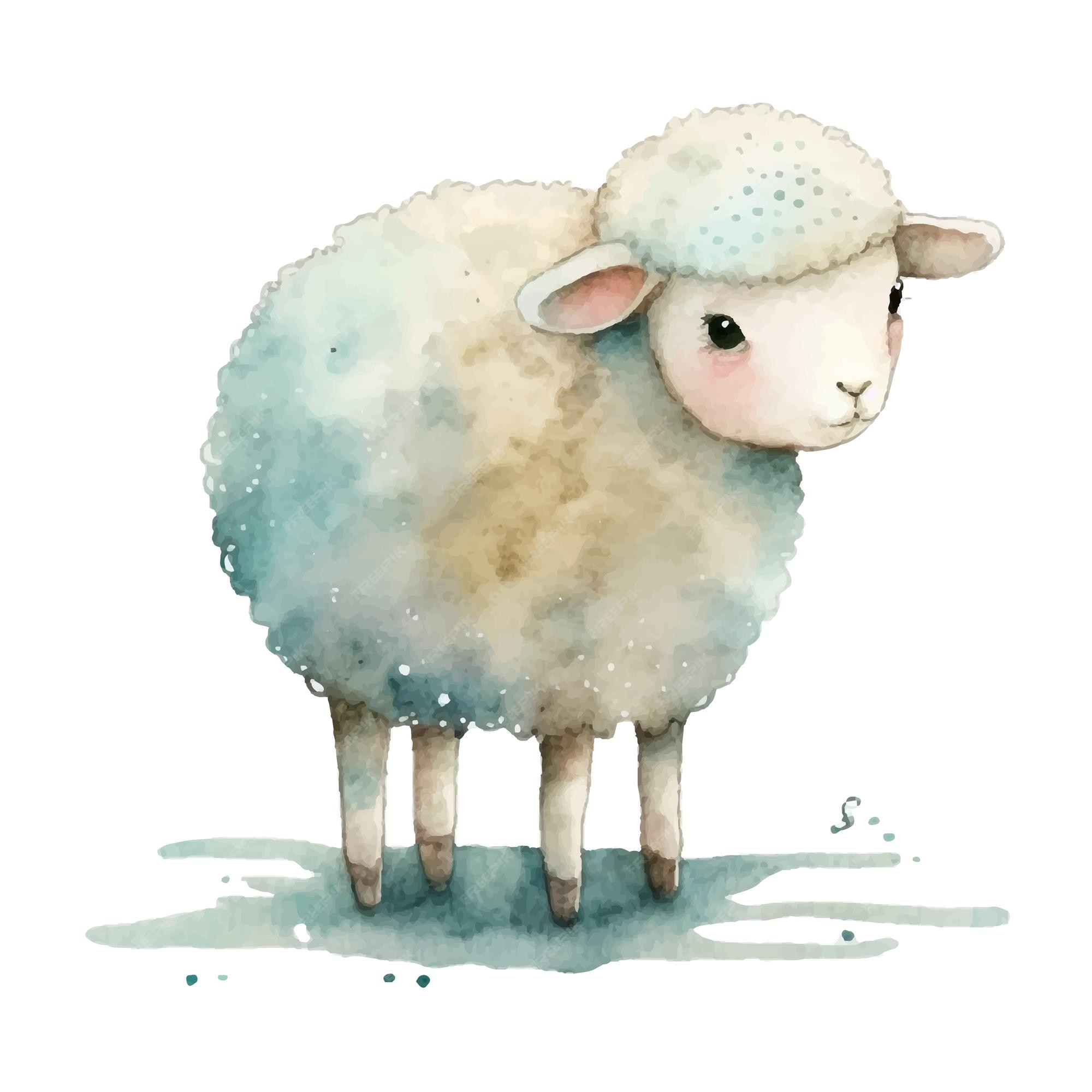 Premium Vector | Cute little sheep, children's illustration painted in ... Premium Vector | Cute little sheep, children's illustration painted in ...