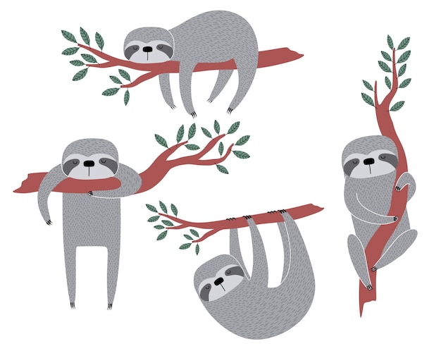 Premium Vector Cute Sloth Seamless Pattern