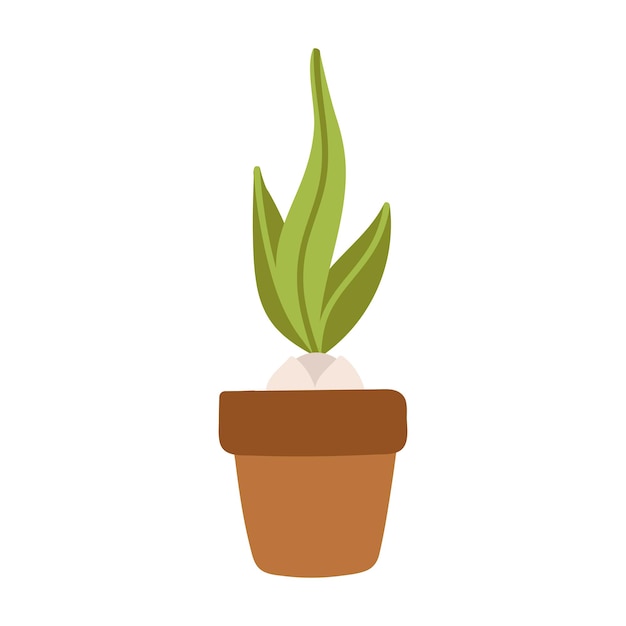 Premium Vector Cute Spring Flower Bulb In A Pot Isolated On A White