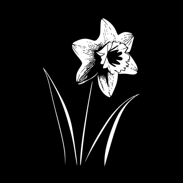 Premium Vector | Daffodil Minimalist and Simple Silhouette Vector ... Premium Vector | Daffodil Minimalist and Simple Silhouette Vector ...