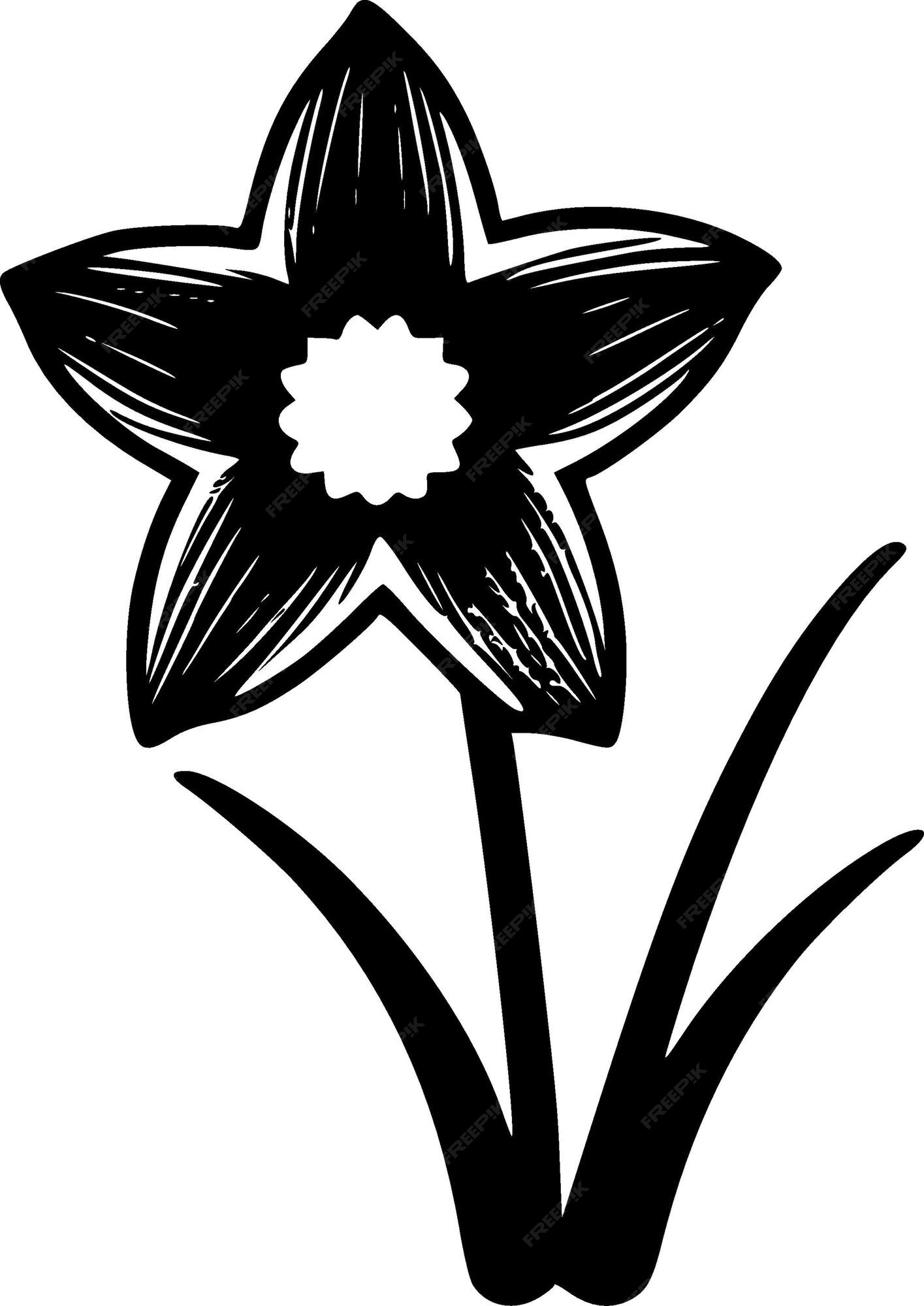 Daffodil Minimalist and Simple Silhouette Vector illustration | Premium ... Daffodil Minimalist and Simple Silhouette Vector illustration | Premium ...