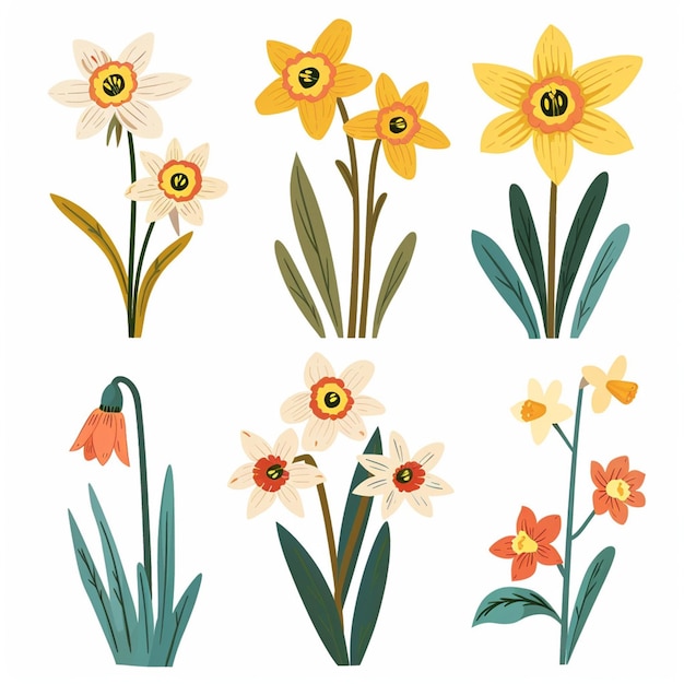 Premium Vector | Daffodil Vector Set simple and minimal Premium Vector | Daffodil Vector Set simple and minimal
