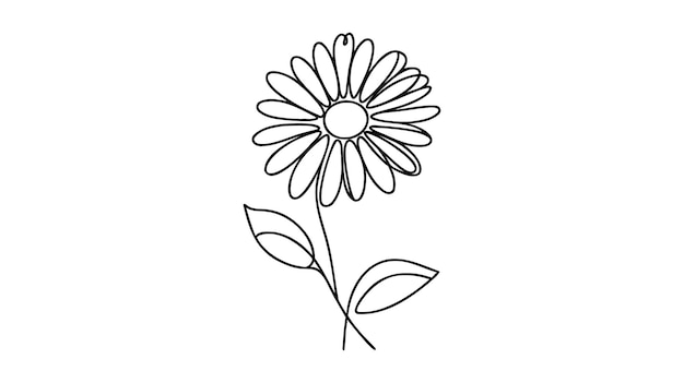 Premium Vector Daisy Flower In Continuous Line Art Drawing Style