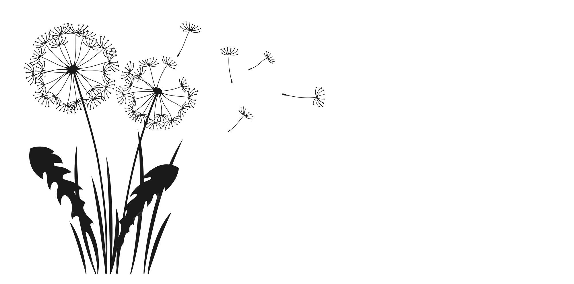 Dandelion Puff Clip Art