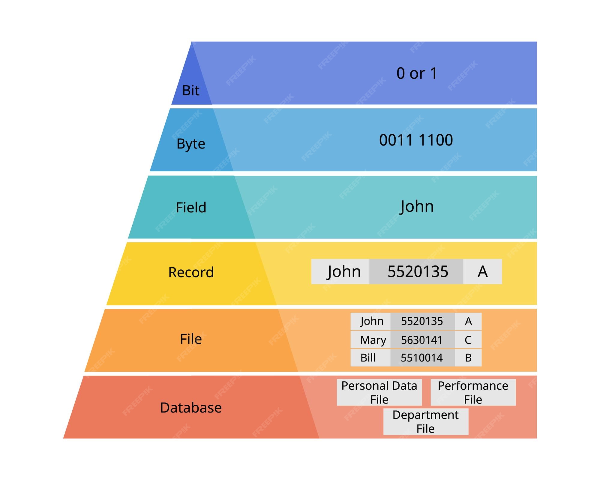 Premium Vector Data Hierarchy Of Bit Byte Field Record File Database 1011