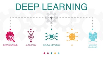 Premium Vector | Deep learning algorithm neural network ai machine learning icons infographic ...