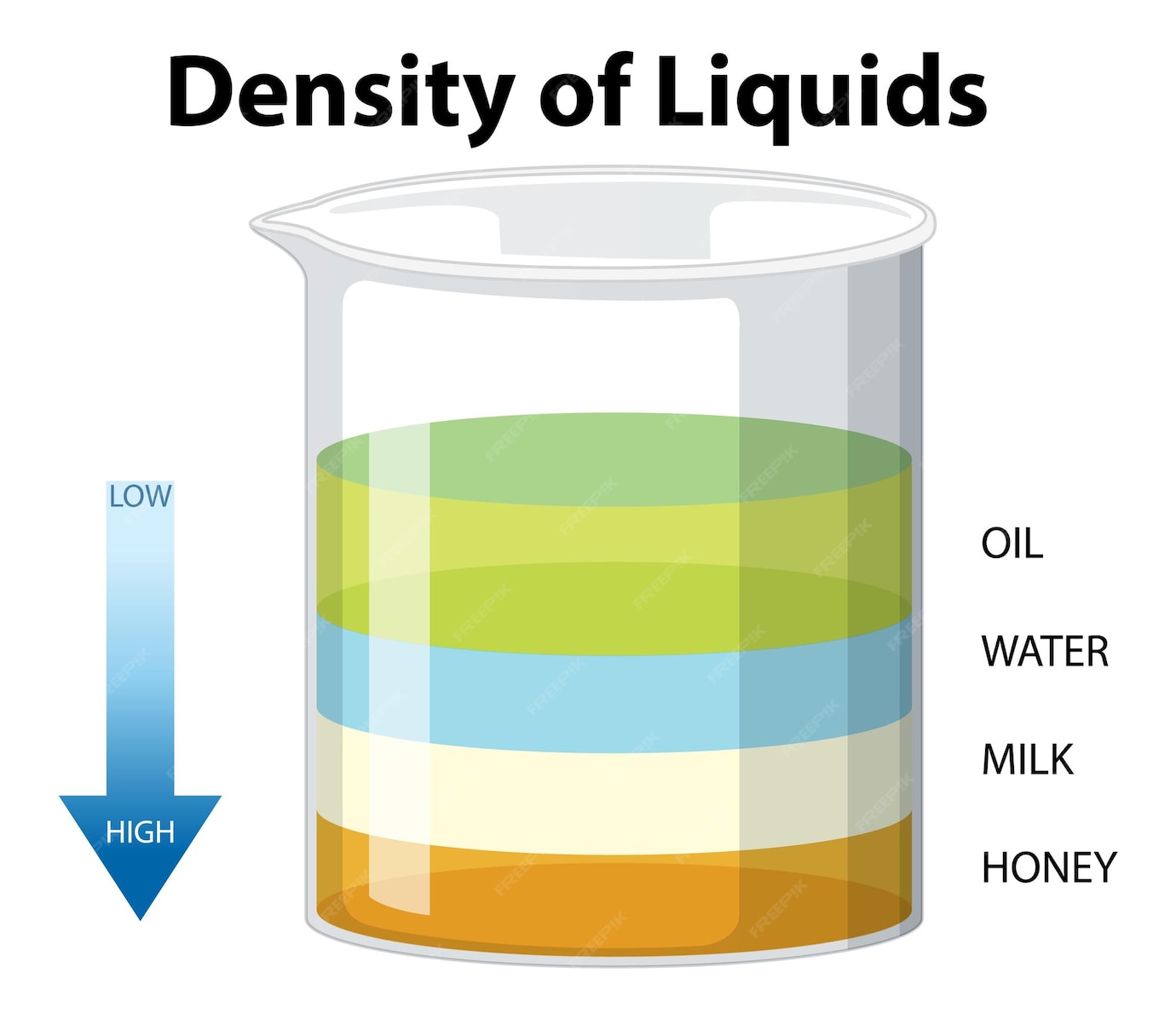Premium Vector | Density of liquids science experiment Premium Vector | Density of liquids science experiment